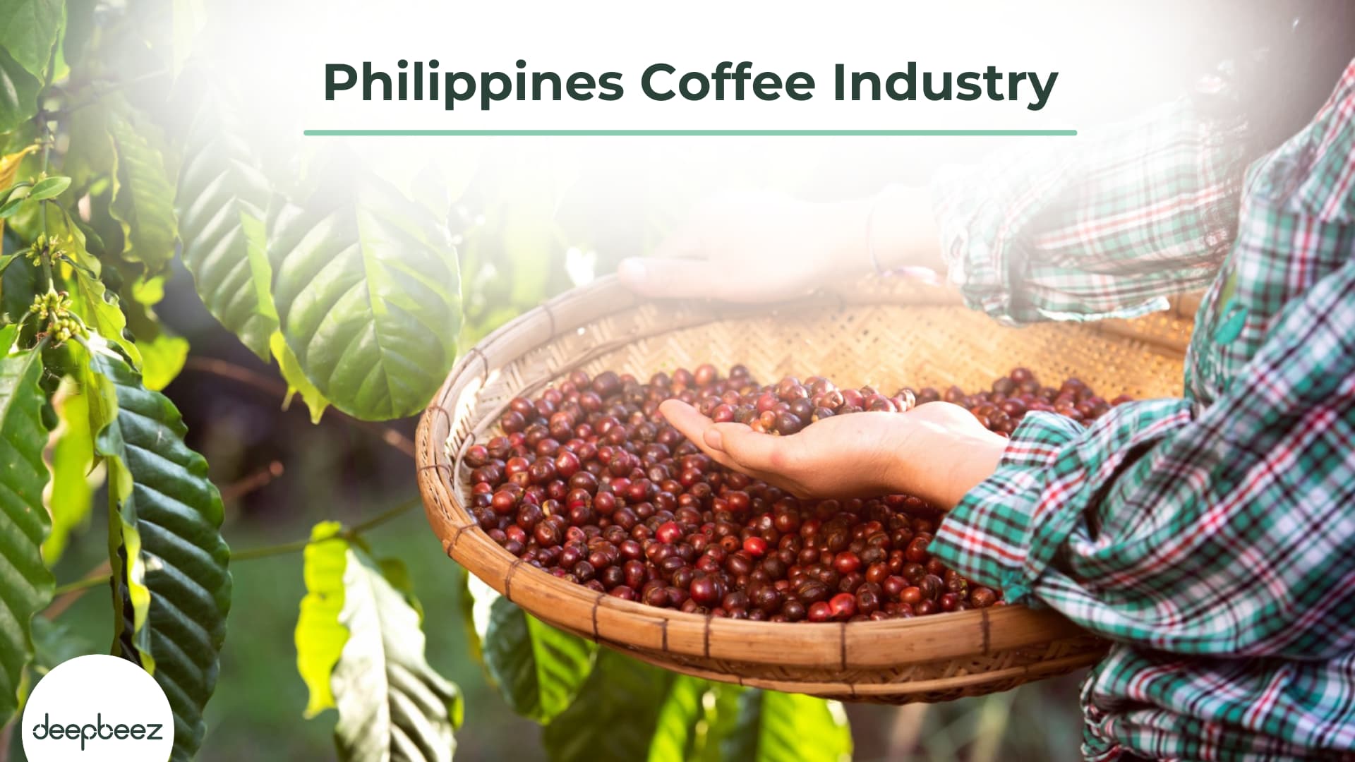 Philippines Coffee Industry: Market Size, Growth Forecast 2025