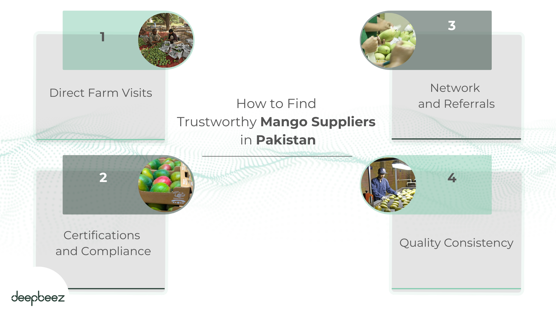 How to Import Mangoes from Pakistan to Canada , 6 critical points